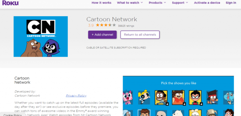 Cartoon Network en Roku: cómo agregar un canal y mirar – tecnoespectro.com