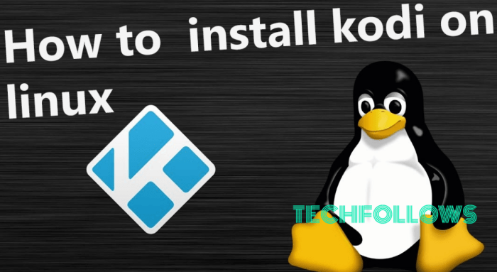 ¿Cómo descargar e instalar Kodi en Linux? – tecnoespectro.com